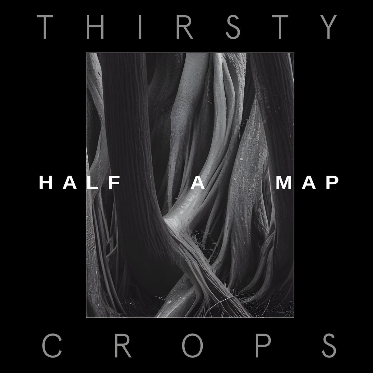Half A Map - Thirsty Crops LP – Pertin Valinta